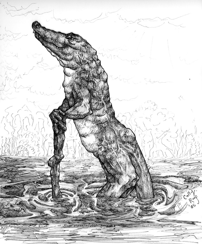 Old Crocodile – Catherine Roop
